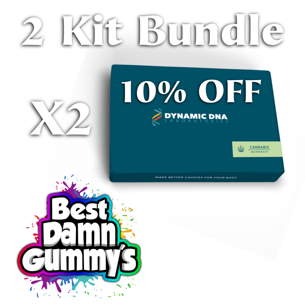 Collections | Best Damn Gummy's - Retail